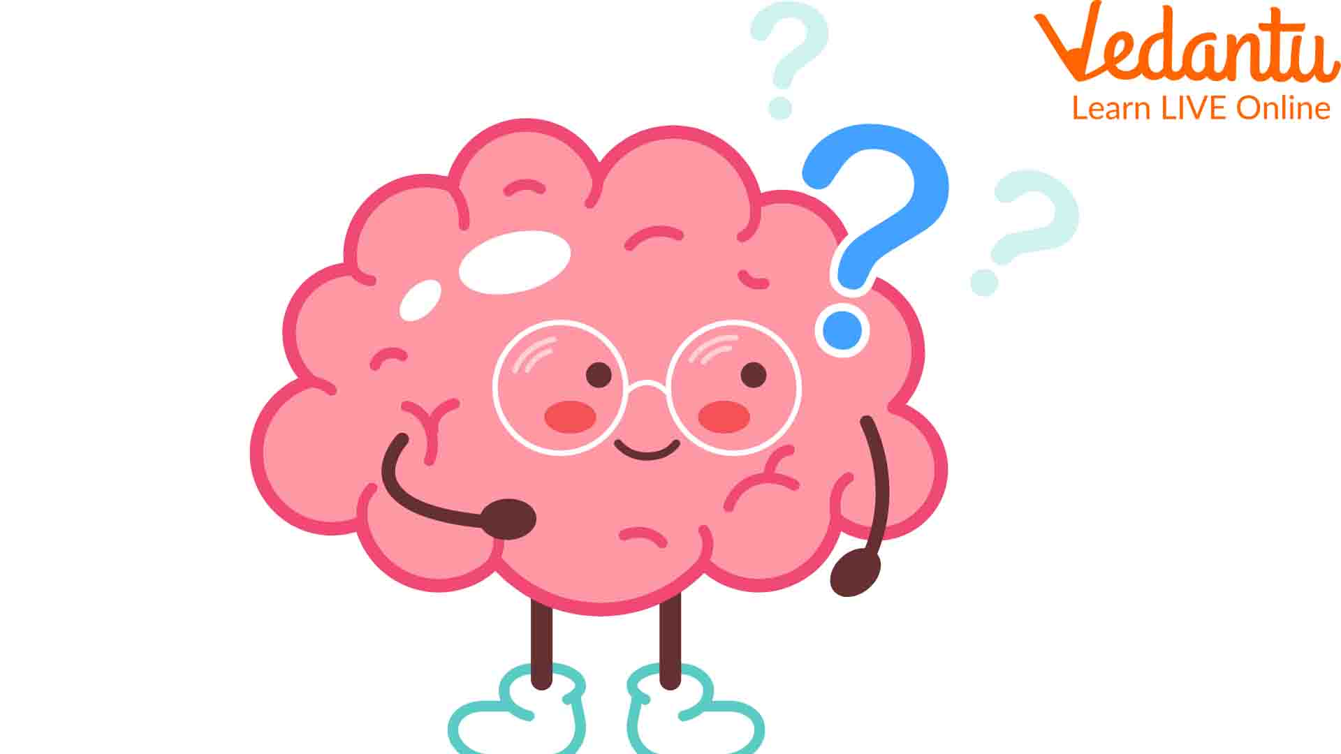 What is an Appendix? - Function, Location & Use What is an Appendix? - Function, Location & Use